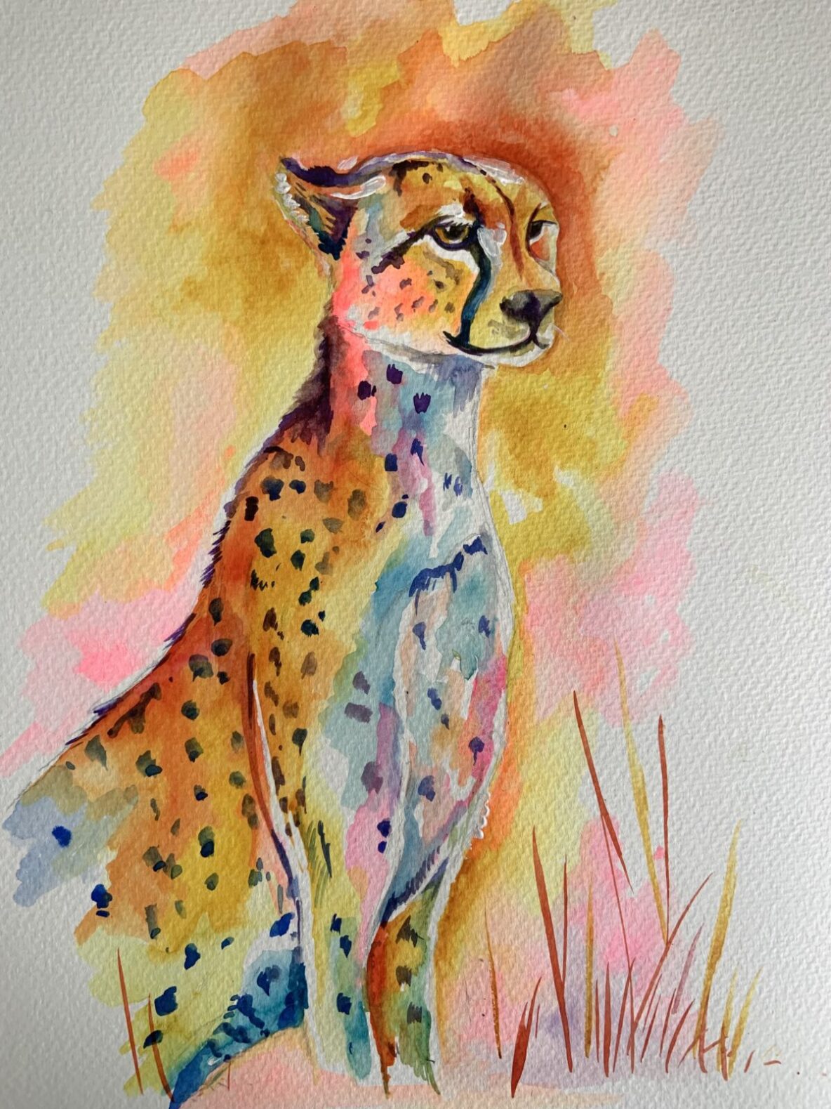 Cheetah in Watercolours – LIVE IN PERSON CLASS – The Rosebird Centre ...